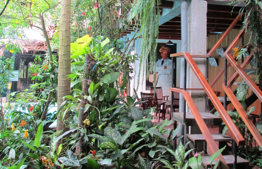 From Mick Jagger to Miniature Leopards at La Casa Fitzcarraldo, Iquitos ...