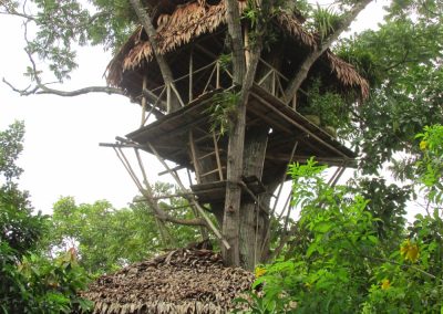 From Mick Jagger to Miniature Leopards at La Casa Fitzcarraldo, Iquitos ...