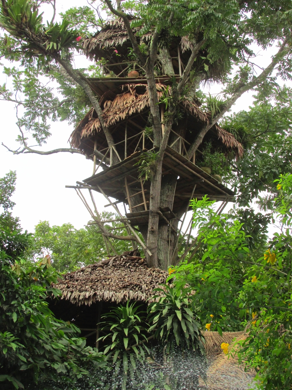 From Mick Jagger to Miniature Leopards at La Casa Fitzcarraldo, Iquitos ...