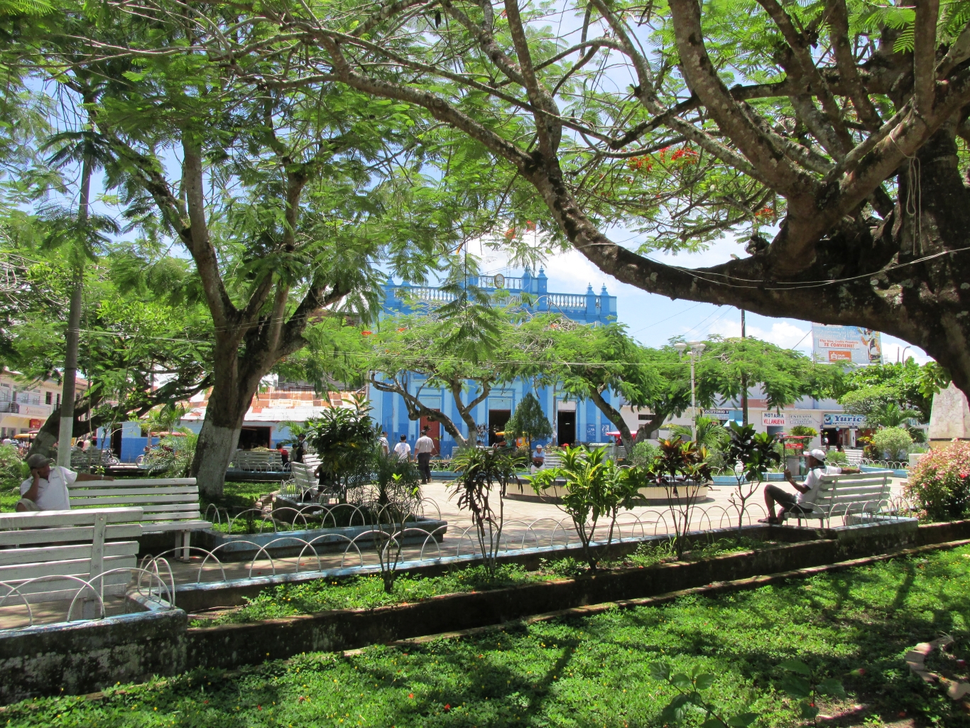 Yurimaguas Travel Guide | New Peruvian