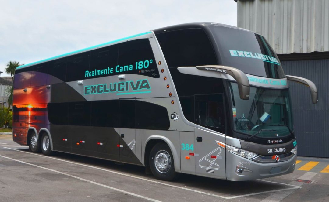 Bus Companies in Peru: The Safest and Most Reliable Options | New Peruvian